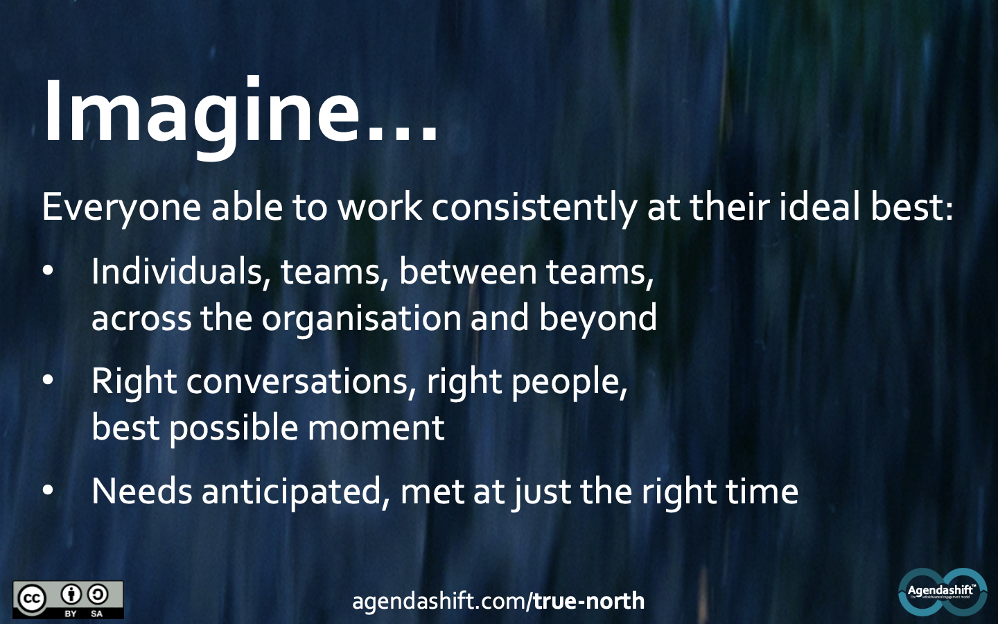 True North | Agendashift™